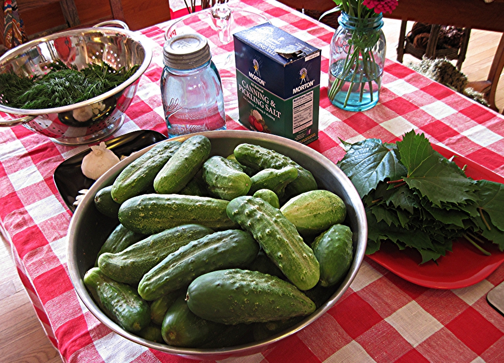 Karolina's Crock Pickles | Driftless Appetite